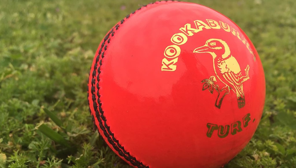 How is a pink-ball different from a red-ball? Here's all you need to ...