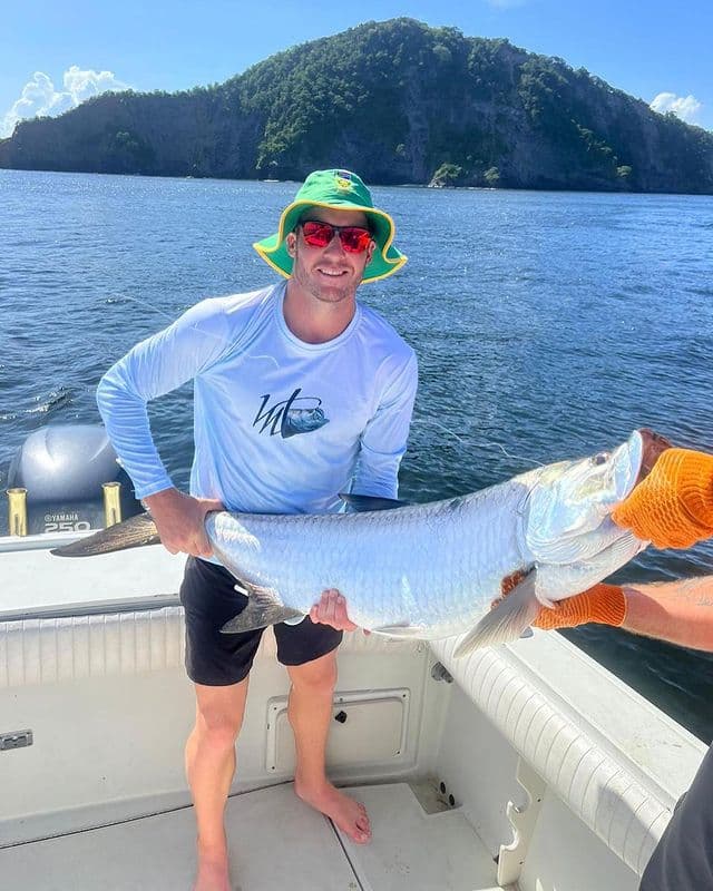 David Miller: South African cricketer's biography and achievements