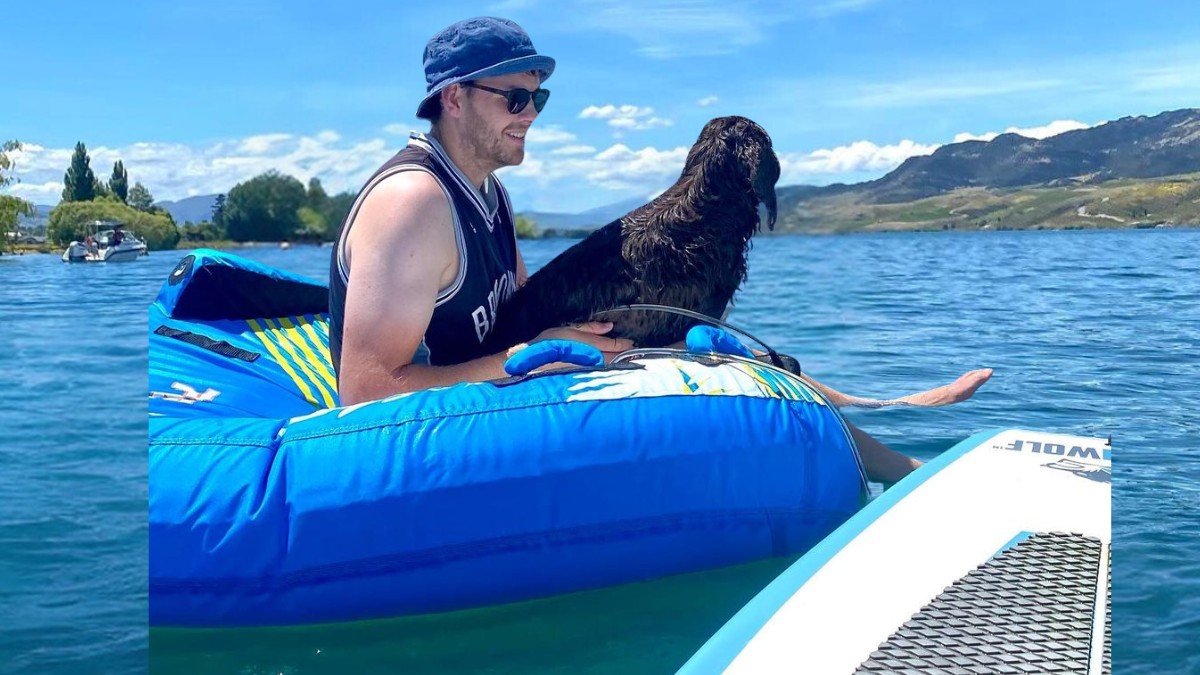 Jacob Duffy Biography | Height | Girlfriends | Debut | Teams | Salary