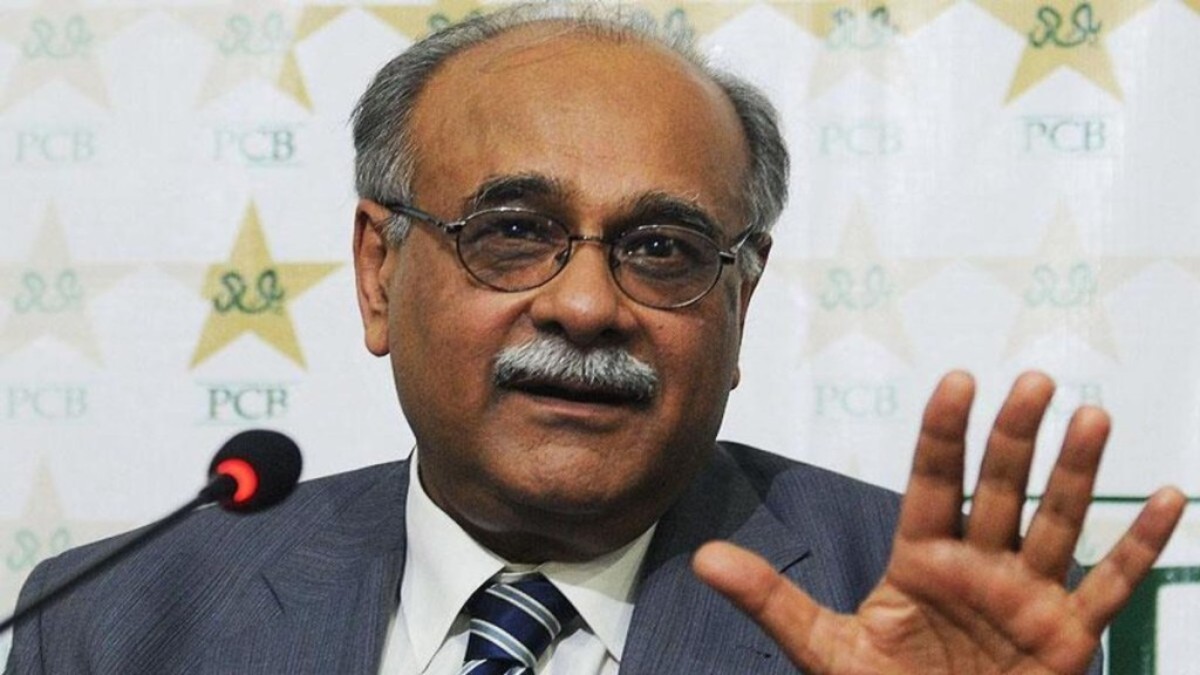 India is a problem: PCB chairman Najam Sethi highlights Delhi riots to ...